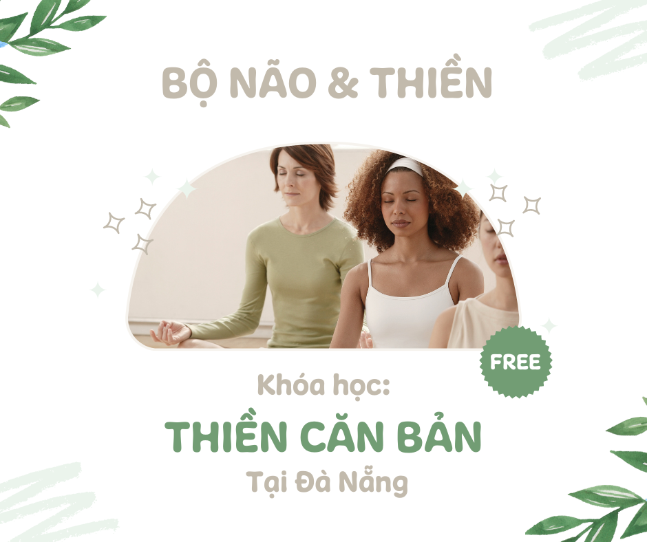 Bộ Não & Thiền - Mỹ Hạnh | IIN Health Coach